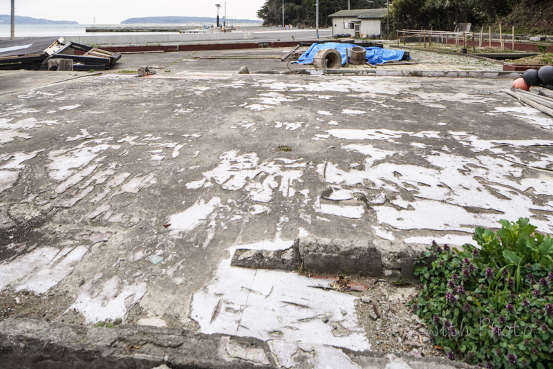 Access to Cat Island Tashirojima（Tashiro Island) Ishinomaki City ...