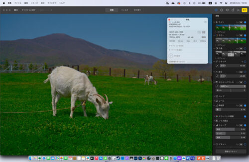 デジカメのHEIF形式とは〜α7Ⅳで実際に使えるか？ | Life with Photo